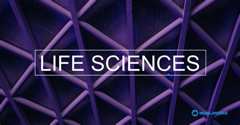 Nebulaworks On Linkedin Cloud Based Hpc Environment