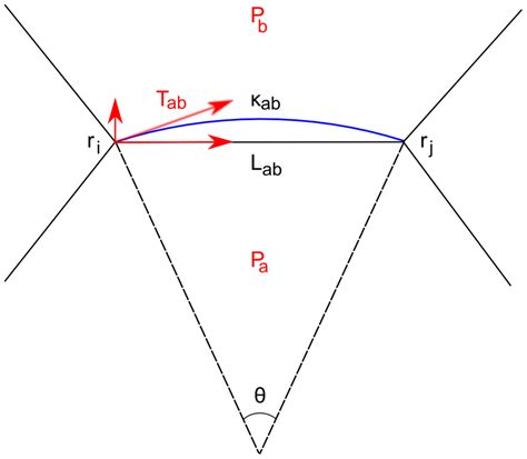 Schematic Representation Of An Edge Between Two Cells In The Tissue Download Scientific