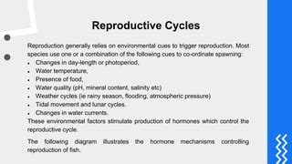 Aquaculture Basics Module 3 Reproduction PPT