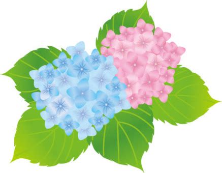 六月イラスト｜無料イラスト・フリー素材なら「イラストac」