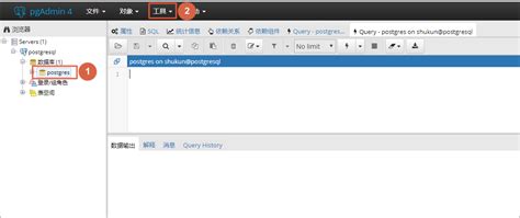远程连接RDS PostgreSQL数据库如何查看本地IP 云数据库 RDS RDS 阿里云帮助中心