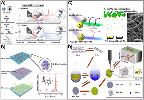 Sers Based Signal Amplification Strategies For Pads A The Schematic