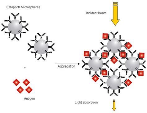 Immunoturbidimetry Merck