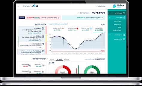תוכנה מקצועית לניהול תזרים מזומנים בעסק שמשנט צרכנות