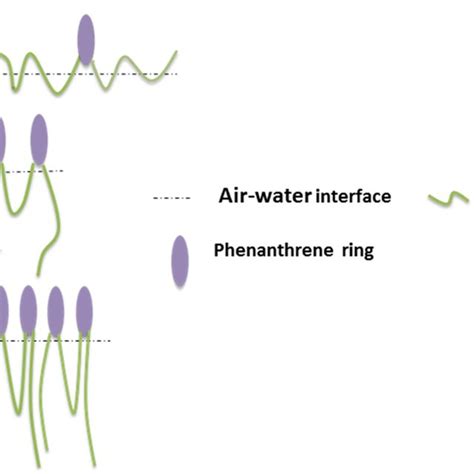 Schematic Of Adsorbed Molecule Conformation As Surface Pressure
