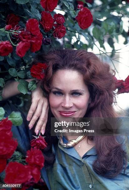 4962 Karen Black Photos And High Res Pictures Getty Images