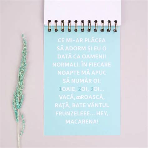 Notebook Cadou Pentru Prieteni Jurnal Idei Adormite Wonderstore