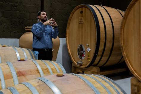 Vinos De Extrema Altura Otra Carta Con La Que Jujuy Se Ilusiona Para Revolucionar Su Economía