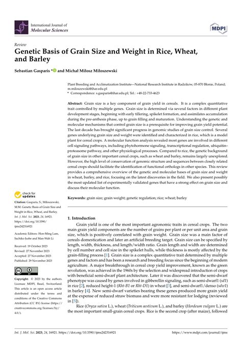 PDF Genetic Basis Of Grain Size And Weight In Rice Wheat And Barley