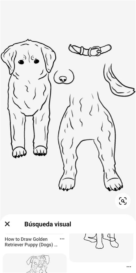 Pin De Meagan Waldrep En Collyns Diy Dibujos De Perros Trajes