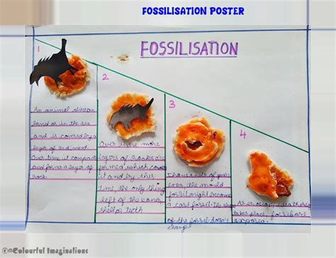 Colourful Imaginations Fossilisation Poster