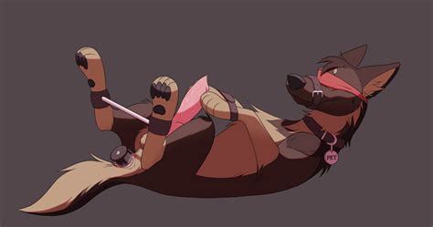 Rule 34 Anal Anal Sex Animal Genitalia Animal Penis Anus Balls Black