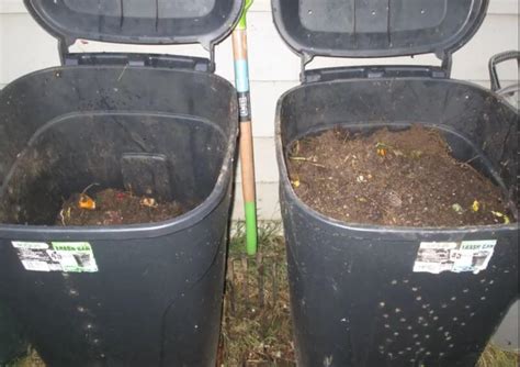 How To Start A Worm Bin