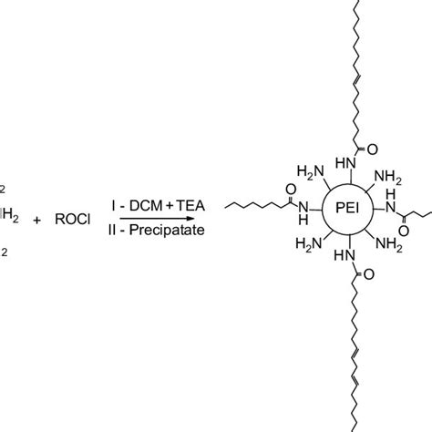 1 Synthesis Of Pei Polymers A B Pei Synthesis By Ring Opening Download Scientific Diagram