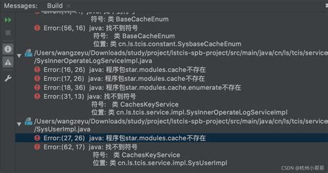 Idea启动java Maven项目，出现 Java 程序包xxxx不存在 程序包orgactivitiengine不存在 Csdn博客