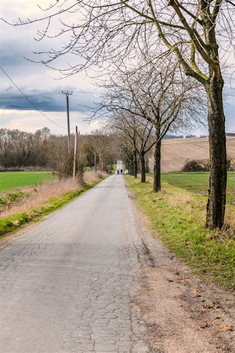 집 밖의 경치 경치 좋은 길 계절 고요한 구름 낀 하늘 긴 길 나무 나뭇잎 낮 농업 농촌 풍경 농촌의 도로 들판 러스틱 마을 생활 목가적인