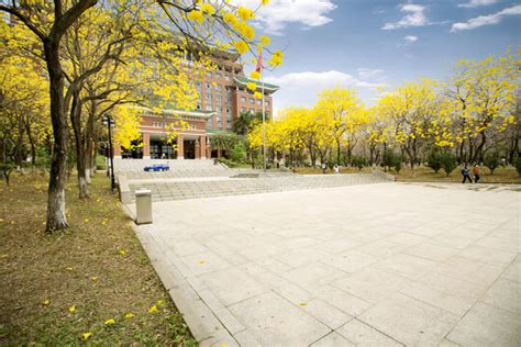 华南农业大学图片素材 华南农业大学设计素材 华南农业大学摄影作品 华南农业大学源文件下载 华南农业大学图片素材下载 华南农业大学背景素材 华南农业大学模板下载 搜索中心