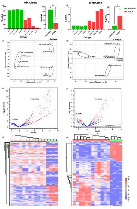 Combined Noncoding Rna Mrna Regulomics Signature In Reprogramming And Pluripotency In Ipscs