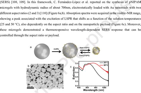 A Schematic Representation Of Microgels Loaded With Au Nanoroads And Download Scientific