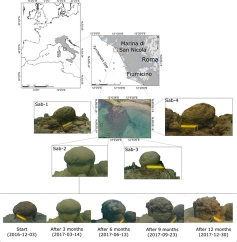 Uas‐based Orthophotos Showing The Geographical Position Coordinates Download Scientific