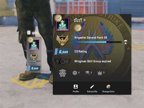 CS Prime Account Premier Rating Video Gaming Video Games Others On Carousell