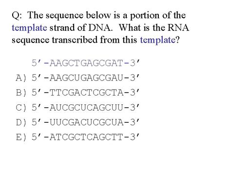 Gene Expression From DNA To Protein To Phenotype