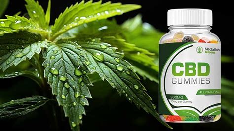 Medallion Greens Cbd Gummies