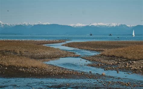 Data Stream Processing Criticality And Approaches