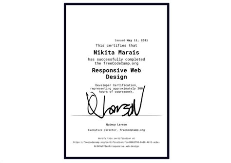 nikita marais on linkedin design project coding