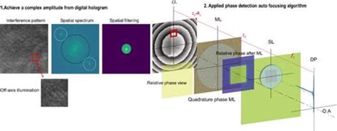Numerical Phase Detection Autofocusing Method For Digital Holography