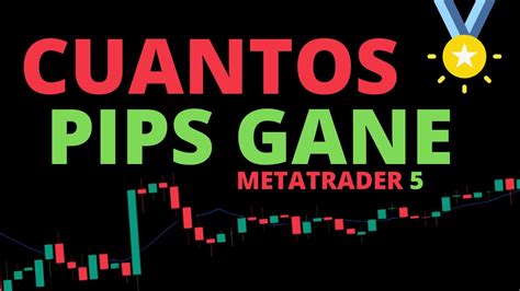 🤨¿como Medir Los Pips Ganados 💻metatrader 5 Youtube