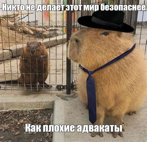 Создать мем Картинки Meme