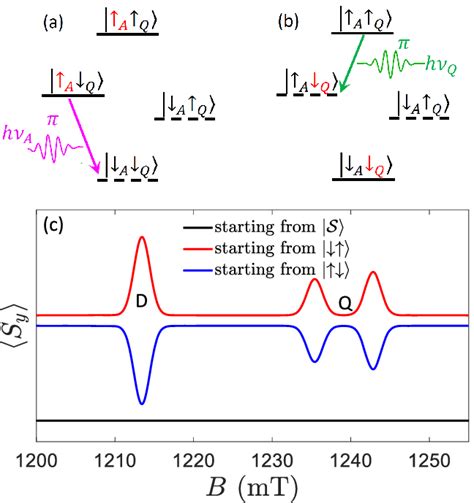 Polarization Transfer To The Qubit Probe A And B Pulse Sequence