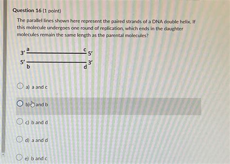 Solved Question 16 1 Point The Parallel Lines Shown Here Chegg Com