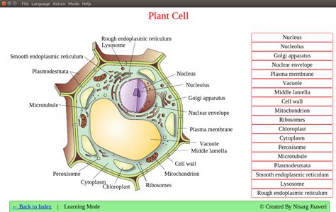 Nisarg Jhaveri Projects