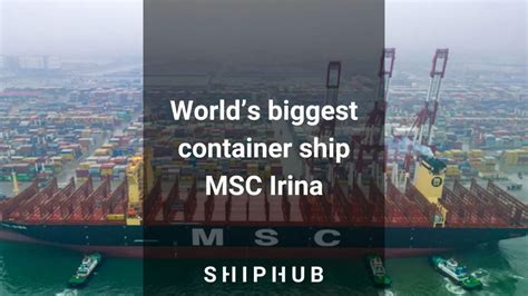 Msc Air Cargo Msc Develops Air Freight Service Shiphub Msc Air Cargo Msc Develops Air Freight Service Shiphub