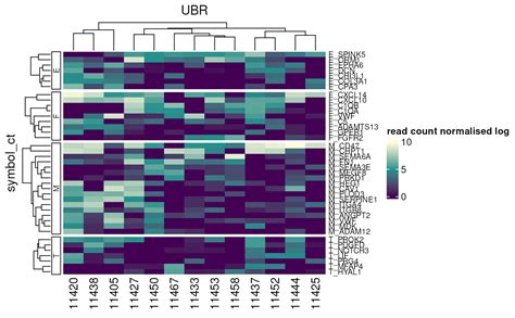 Creates A `inputheatmap` Object From `tbldf` On Evaluation Creates A `complexheatmap` — Heatmap