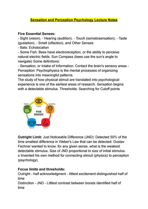Sensation And Perception Psychology Lecture Notes Sun Compass Bees Use The Suns Angle To