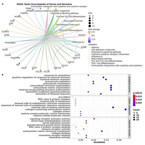 Functional Annotation And Enrichment Analysis A Enrichment Analysis Download Scientific