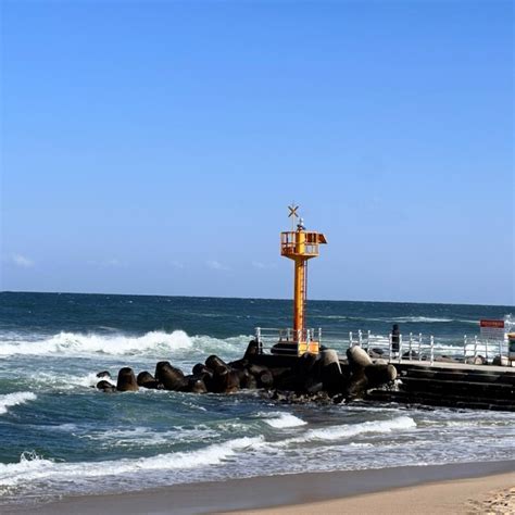 강릉 당일치기 코스 관광은 모르겠고 먹자 네이버 블로그