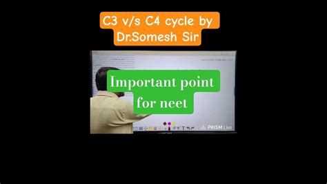 Differences Between C3 And C4 Cycle Class 11 Ncert Biology