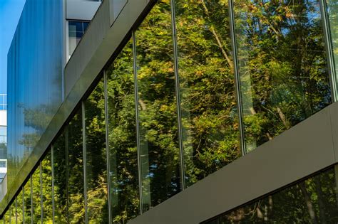 Number Theory And Algebraic Geometry