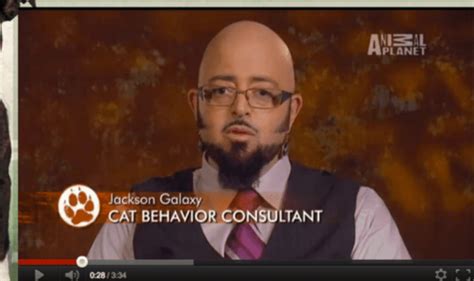 Jackson Galaxy Alchetron The Free Social Encyclopedia