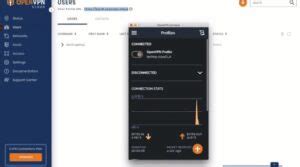 How To Fix OpenVPN Connected But Not Changing IP Address