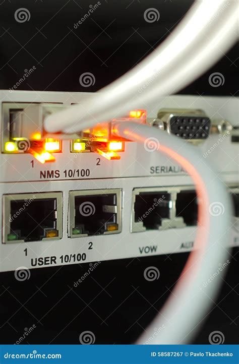 Cabos Da Rede Conectados Ao Cubo Imagem De Stock Imagem De Broadband Elevado 58587267