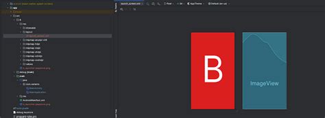 Mobile Application App Variants With Different Splash Screens And App