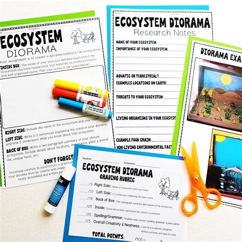 Ecosystem Project Make A Shoebox Diorama Use With Any Ecosystem Digital Download Ecosytem