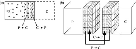A A Schematic Domain Decomposition Of The Hybrid Scheme Showing The Download Scientific