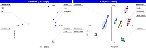 Principal Component Analysis Pca With Variable Loadings
