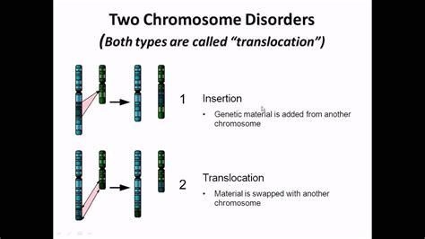 What Are Some Chromosomal Abnormalities